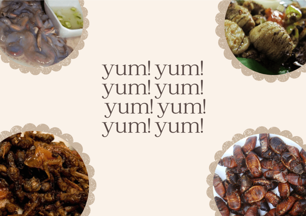 Exotic Foods that Filipino Must Try