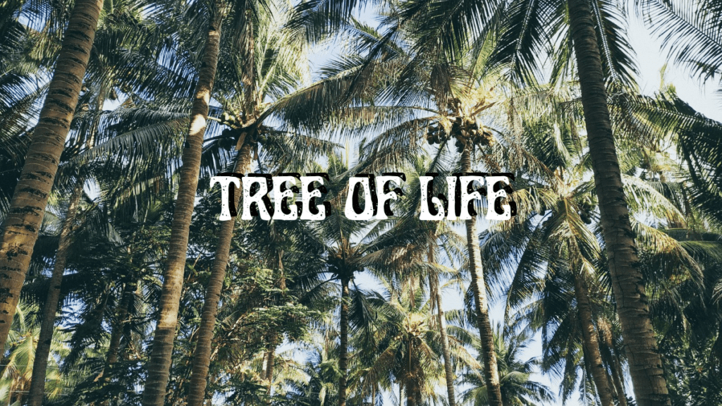 5 main benefits of having your own coconut tree
