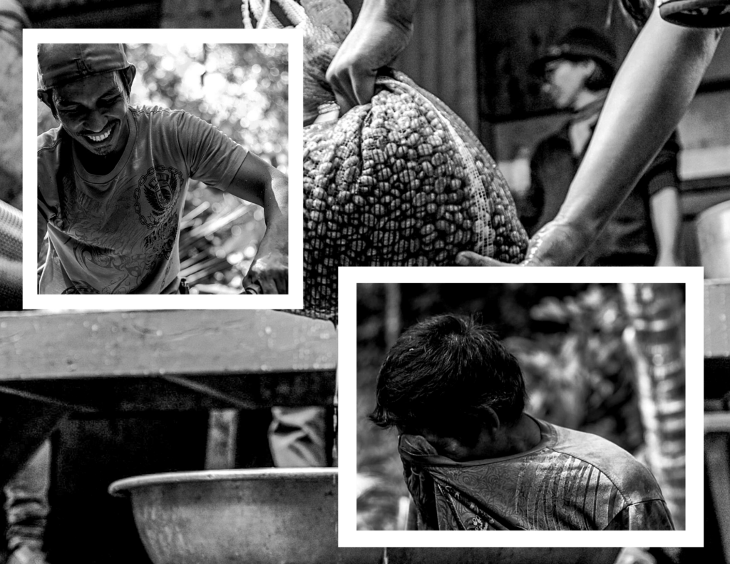 Kaulayaw: The Rich Aroma of Locally Produced Coffee