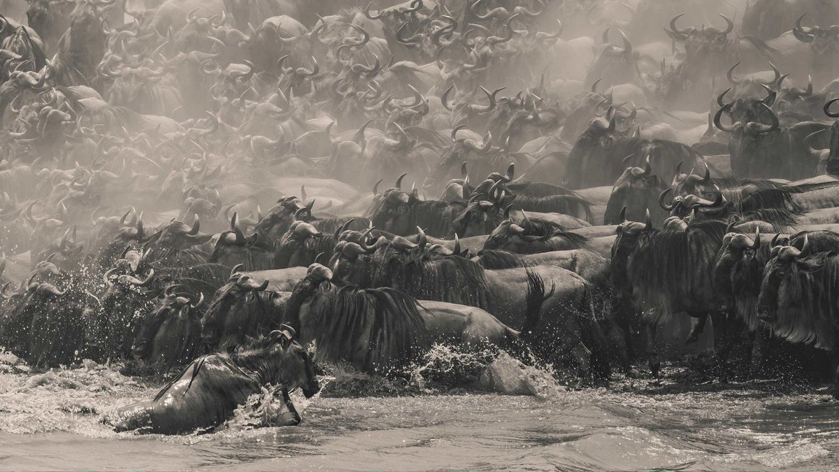 ASEAN Panoramic Vision Captivates at Epson International Pano Awards ...
